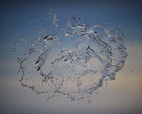 【自己紹介】 Shinichi Maruyama｜Shinichi Maruyama / 丸山 晋一