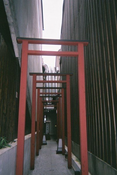 サヨナラ、Zfc｜005 akkiy