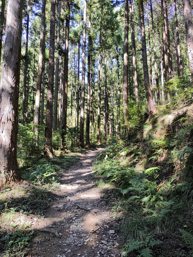 参拝はつづくよ、どこまでも｜ATMAN MUSIC｜note