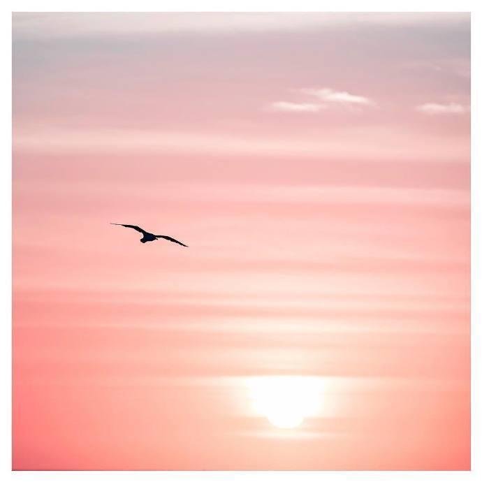 ピンク系｜Ashun｜note