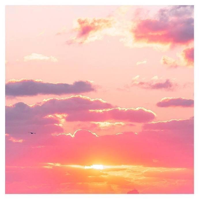 ピンク系｜Ashun｜note