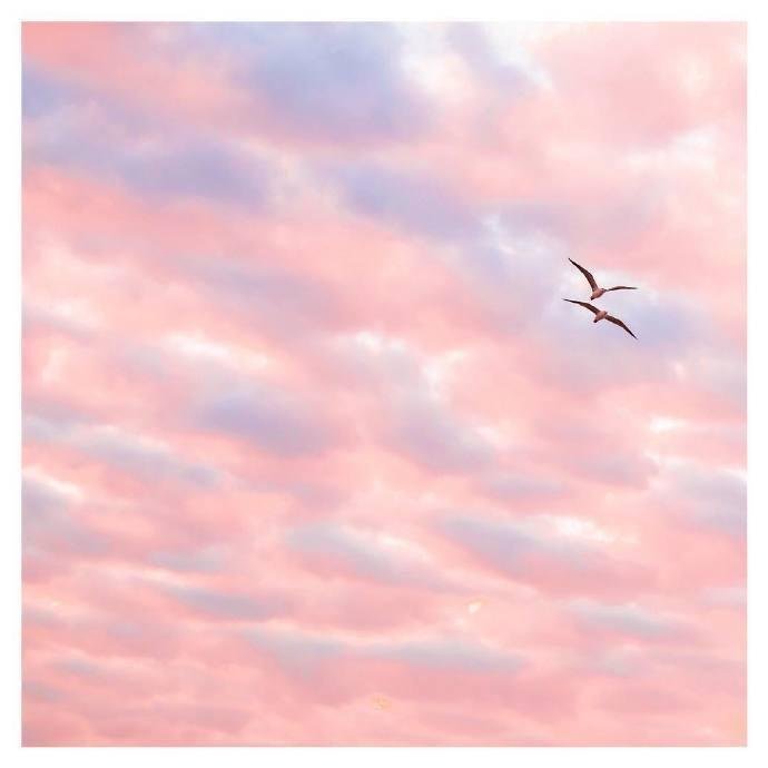 ピンク系｜Ashun｜note