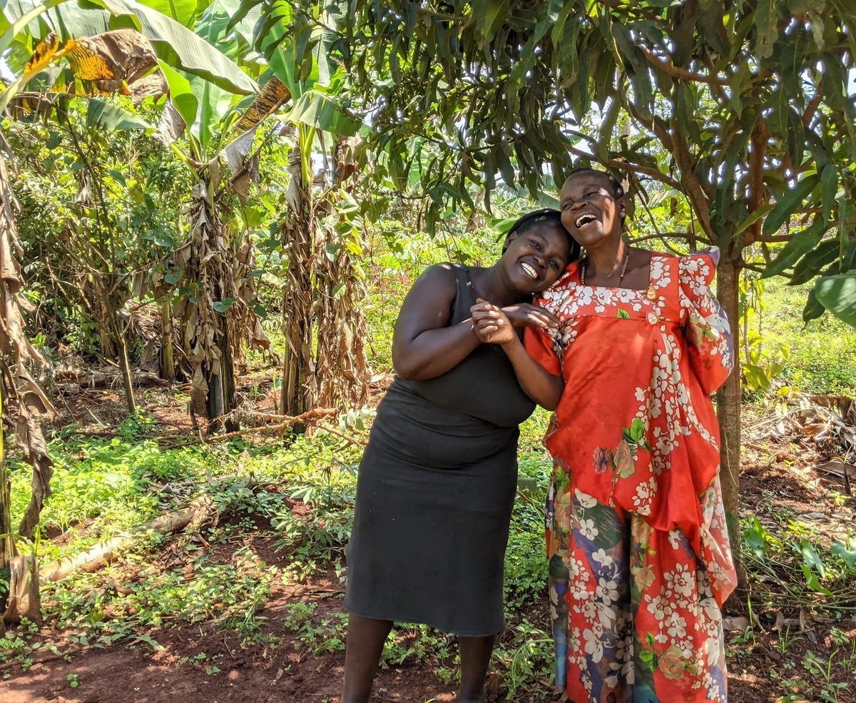 ウガンダレポート｜見て！マンゴーの木がこんなに育ったのよ！｜PLAS プラス【公式】