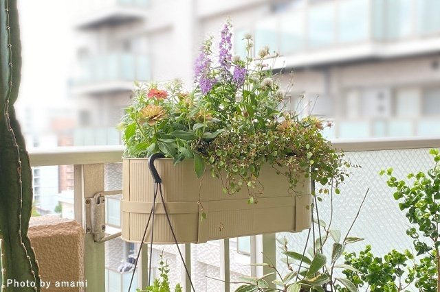 【KOZフラワー】vol, 67 お家の外でも中でも！Bauバルコニーボックスの使い方｜KOZLIFE
