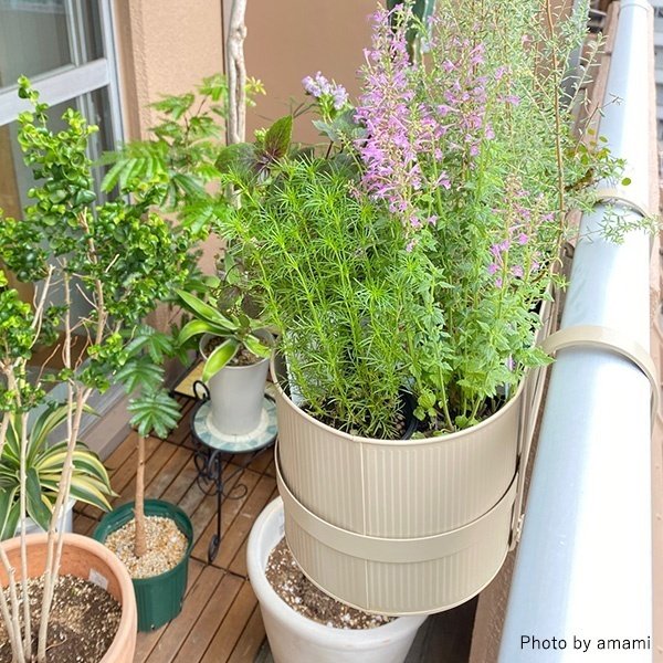 【KOZフラワー】vol, 67 お家の外でも中でも！Bauバルコニーボックスの使い方｜KOZLIFE