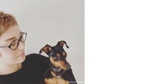 【KOZフラワー】vol, 67 お家の外でも中でも！Bauバルコニーボックスの使い方｜KOZLIFE