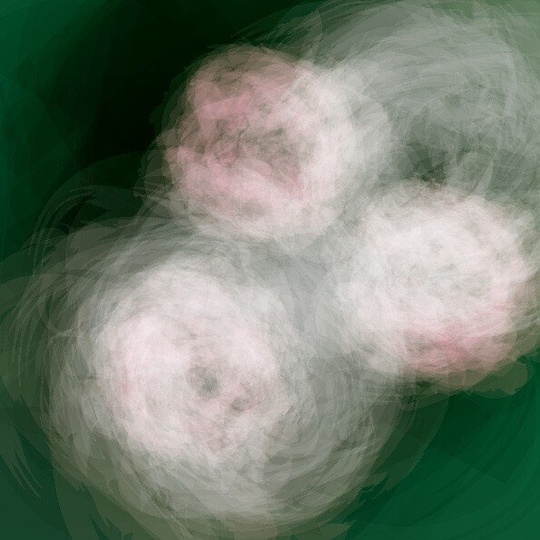 きょう見た花 : 無／flower seen today : nought｜B-BLOCK