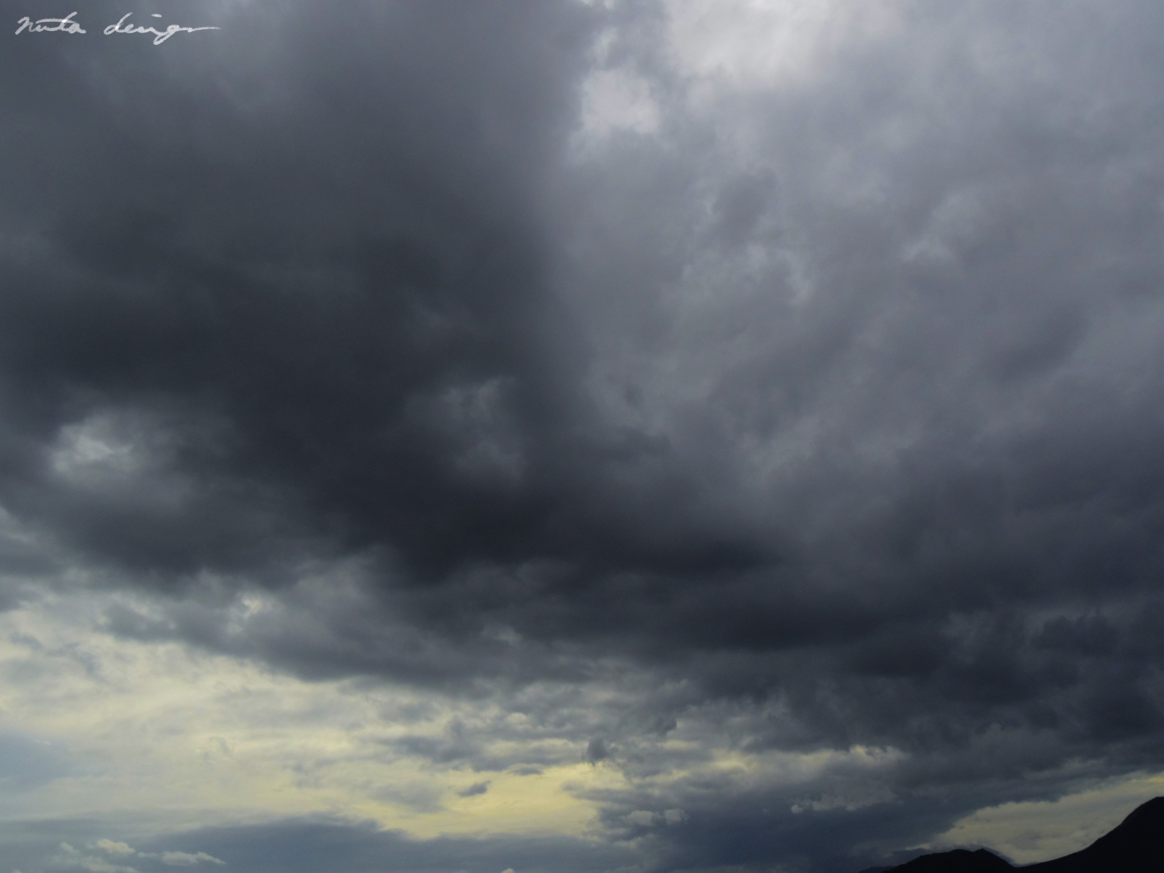 びっくりしちゃうくらいの｜nuta design