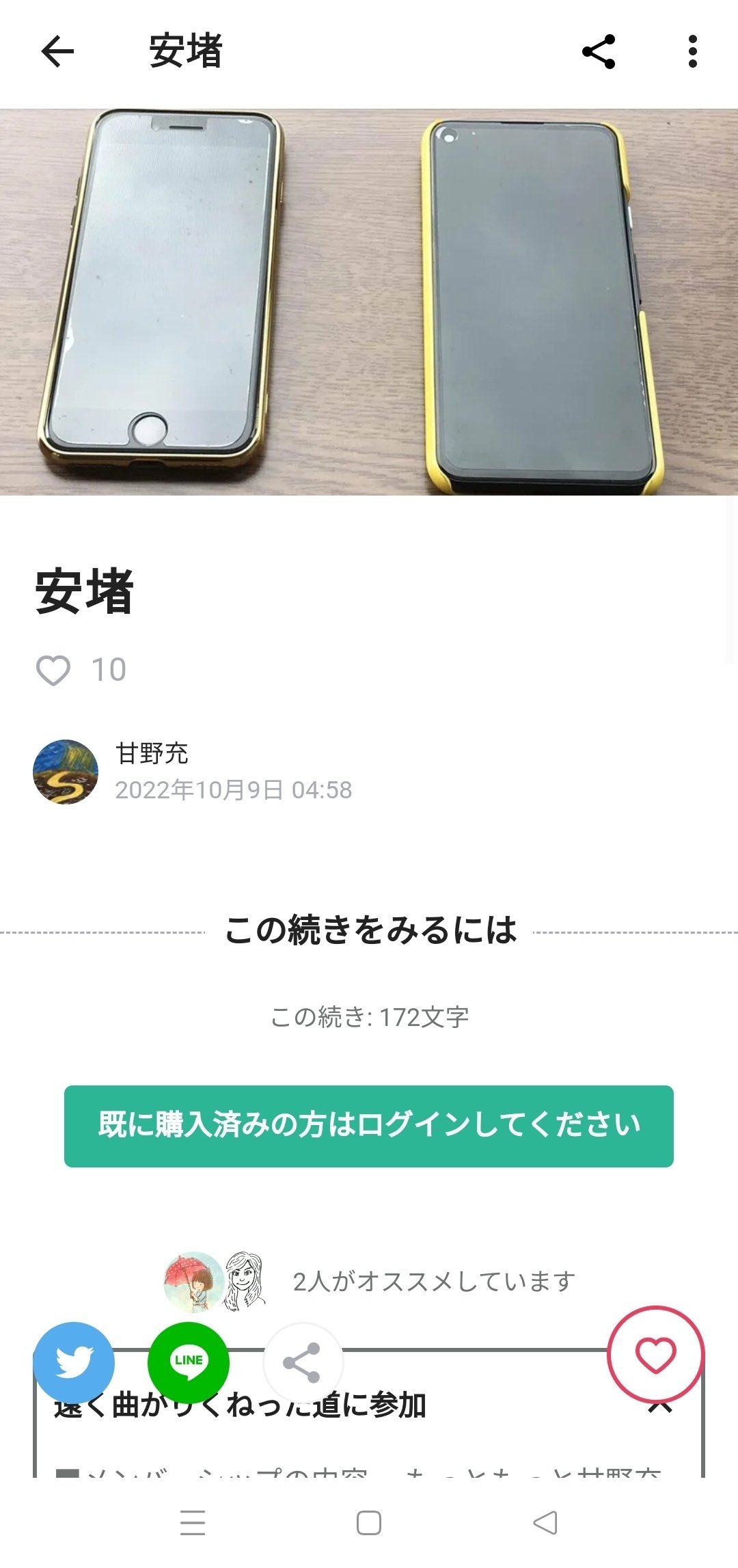 Amano Fan 11｜甘野充