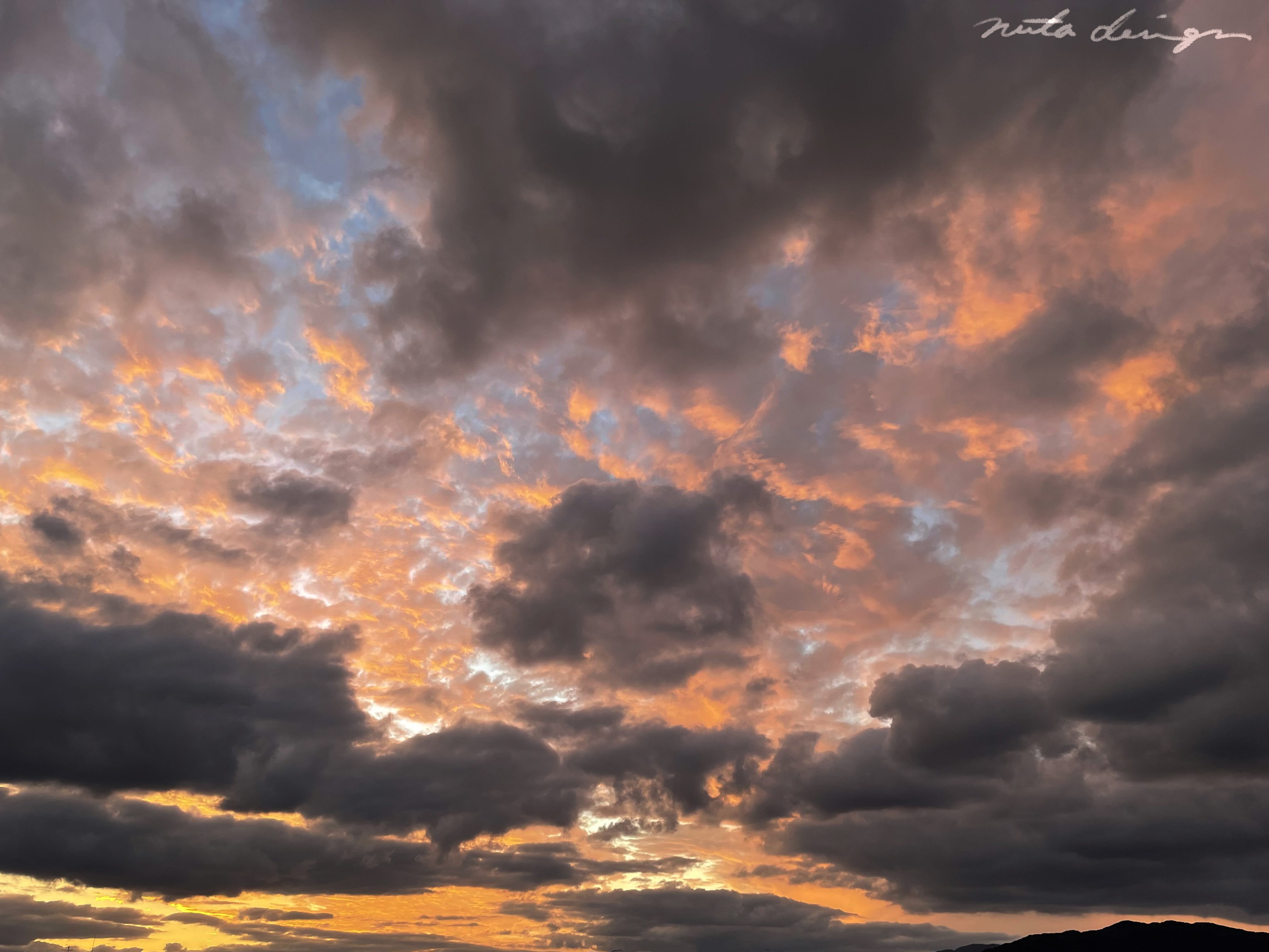 厚みが！色々な厚みが！｜nuta design｜note