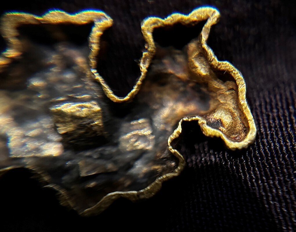 後藤の金無垢目貫を買いました｜刀箱師の日本刀ブログ 中村圭佑