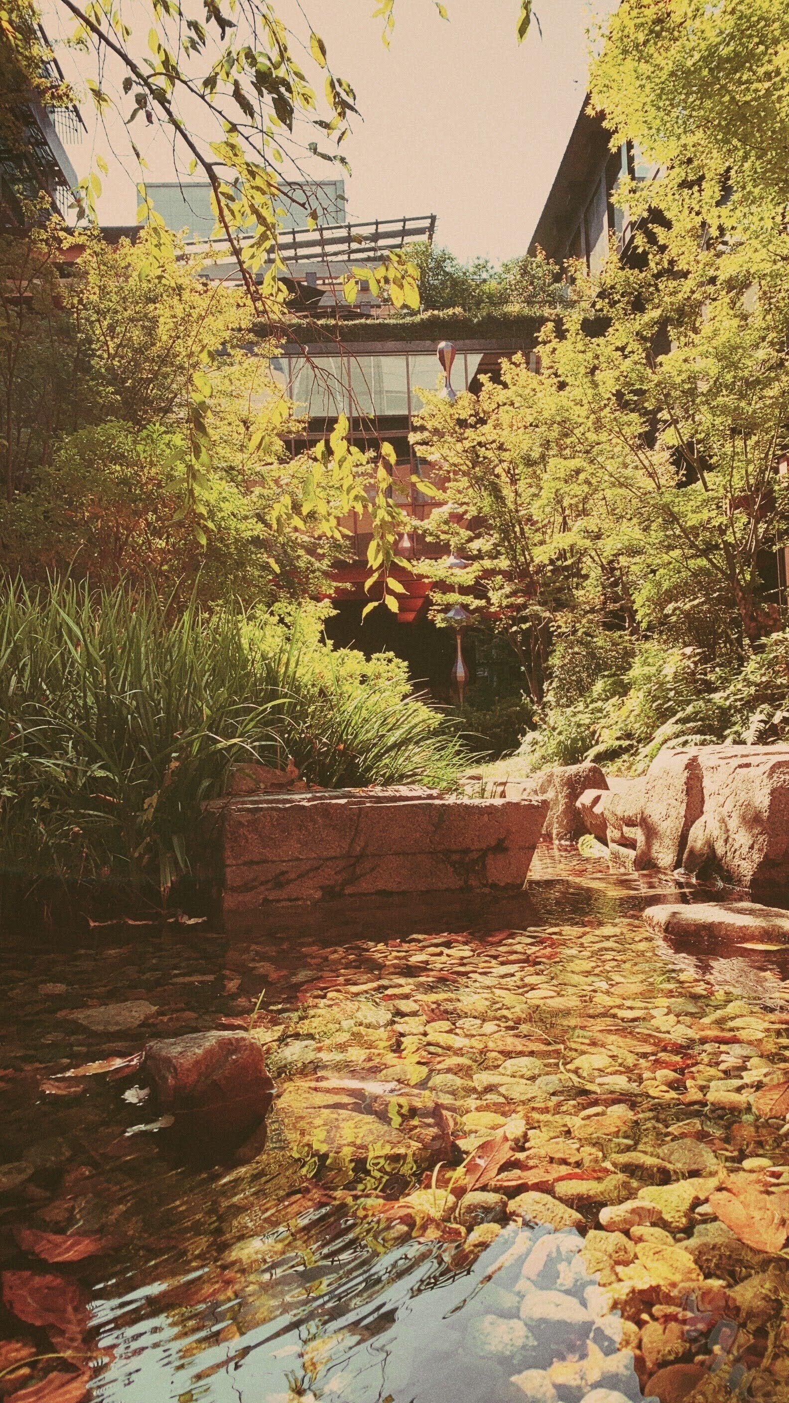 Dispoの「cozy cam」は秋にぴったりだと思う｜鶴原早恵子@ライター