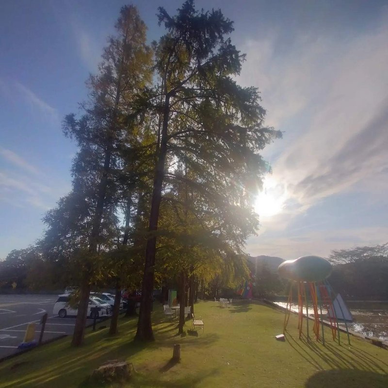 太陽の光｜indigoblue_moon