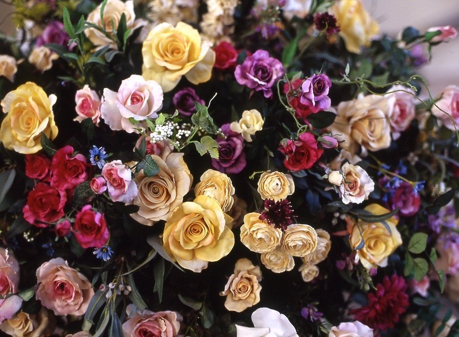 カメラの話を徒然に(22)｜robert_oku