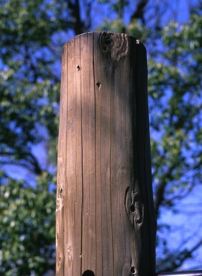 カメラの話を徒然に(22)｜robert_oku