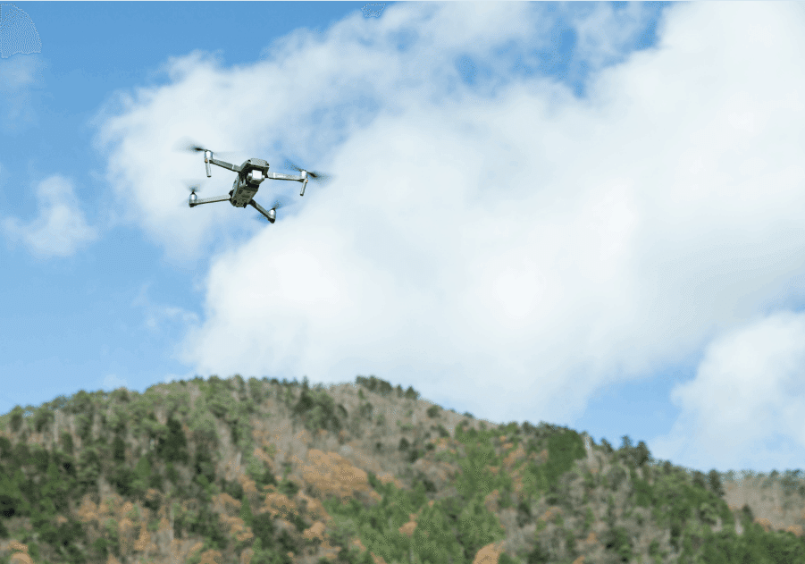 ドローン×AIで世界中の森林を守る（DeepForest Technologies株式会社）｜経済産業省近畿経済産業局（公式）