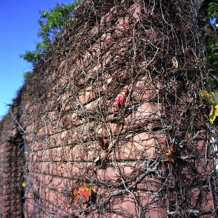 カメラの話を徒然に(23)｜robert_oku