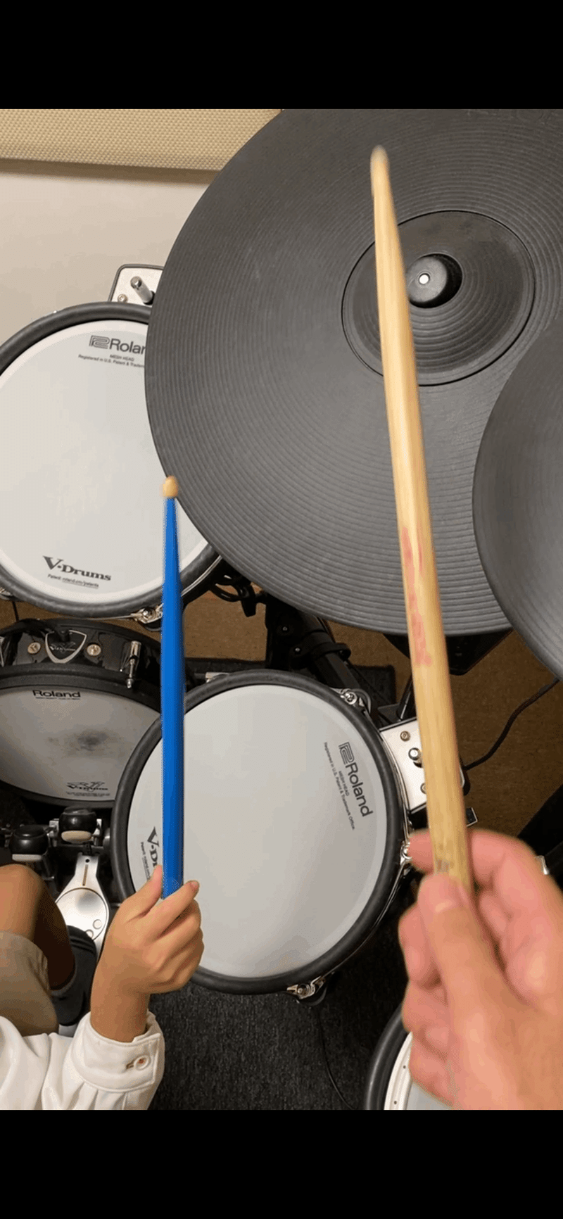 まだ紅葉はしていない｜hikodrums