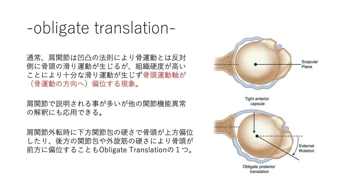 -明日の臨床に役立つ-骨頭上方偏位の要因｜桑原啓太