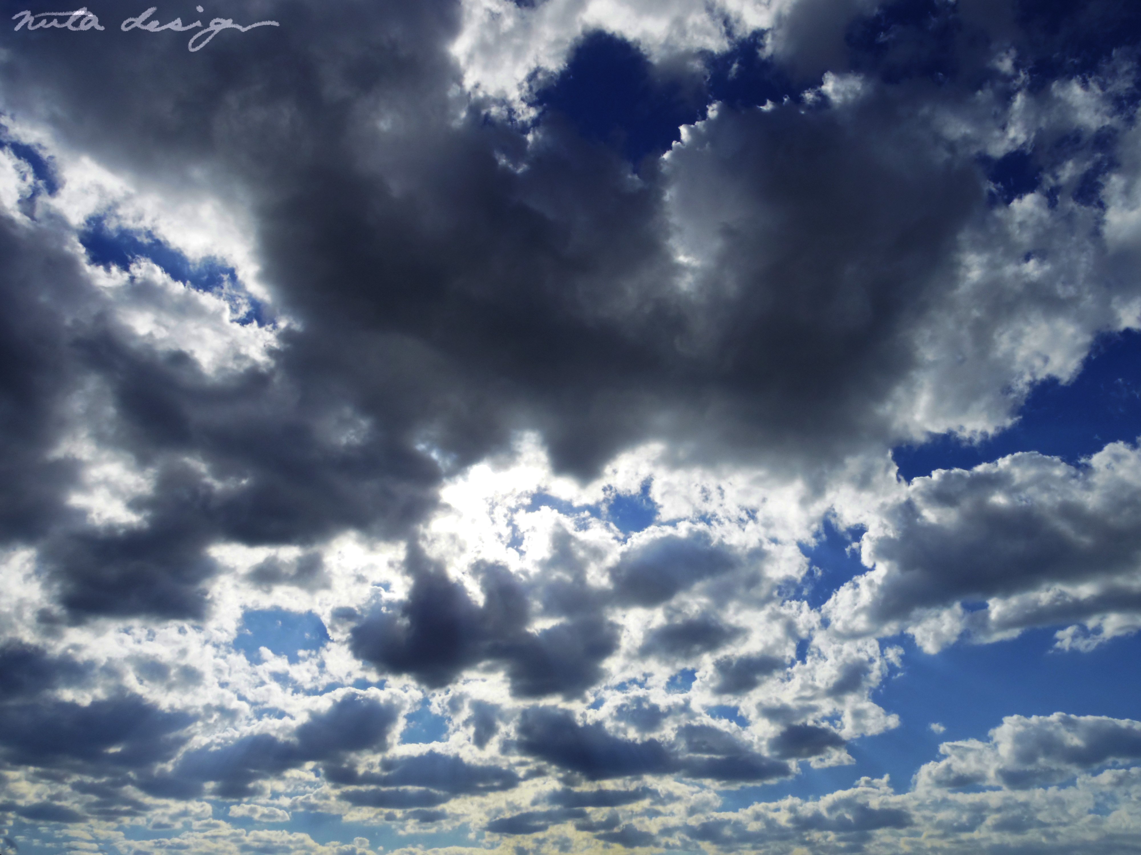 じわじわと｜nuta design