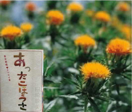 第一回大泉散士賞受賞！｜Junji Kajiwara