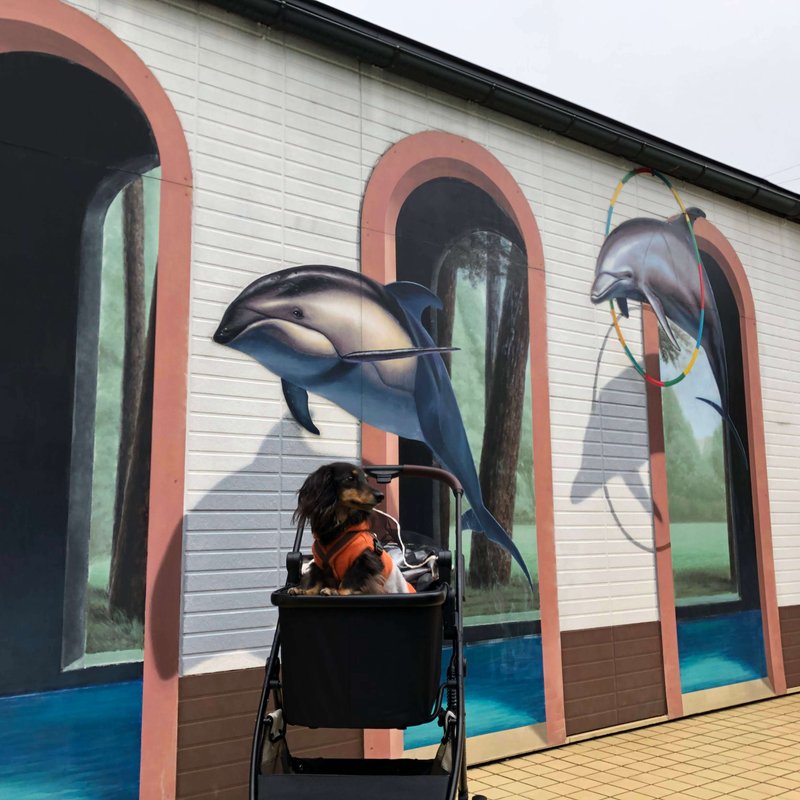 愛犬との栃木旅行記～1～蠍座新月の話から那須のいろいろ｜chie｜note