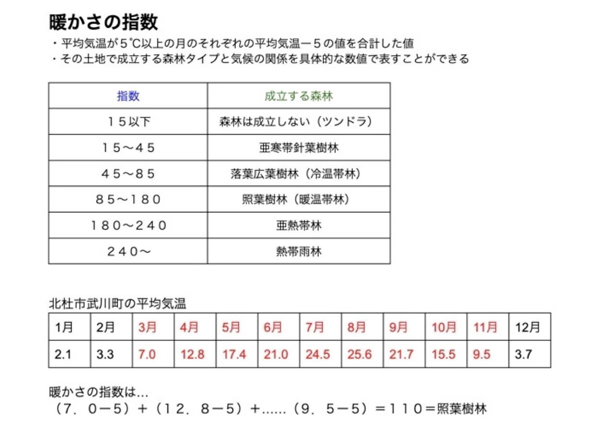 How forests tell（3/3） ： 森の未来洞察をしよう｜ACTANT_FOREST