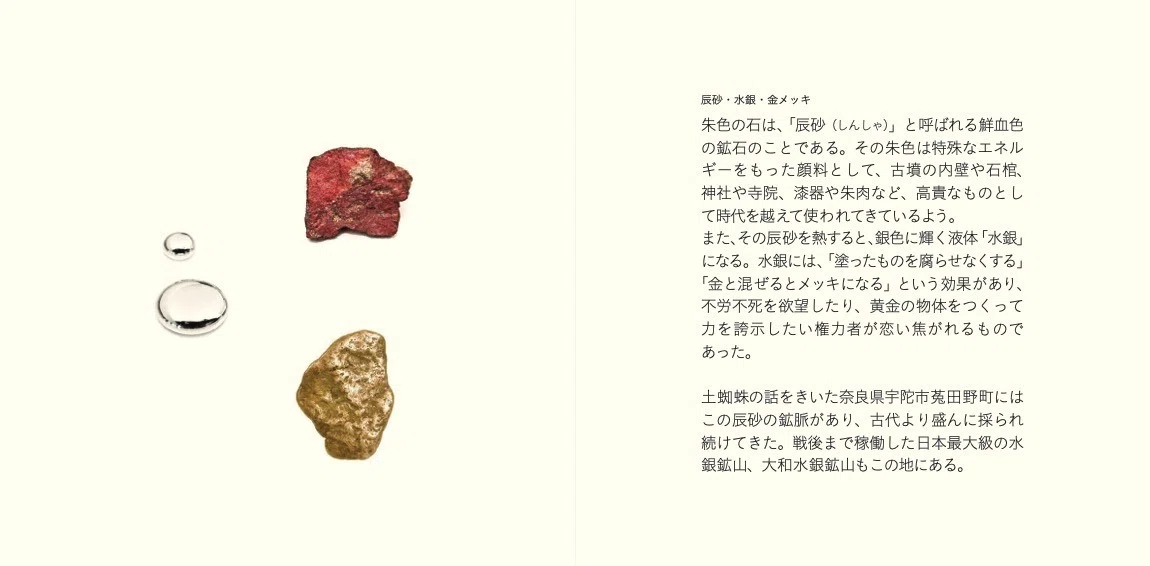 ghosts in the octopus｜noguchi tappei