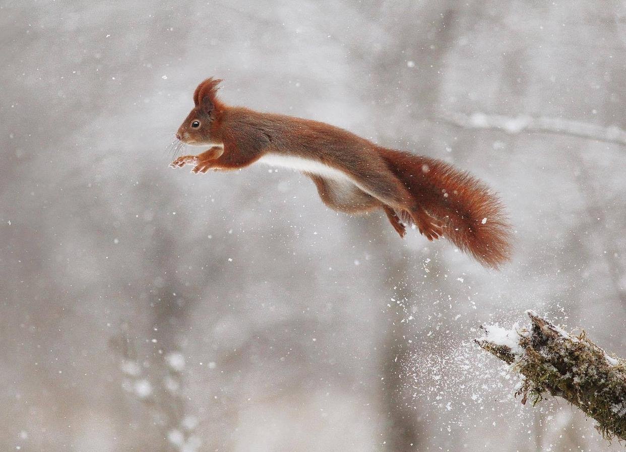 【私より高く跳べるか？】｜Ashun｜note