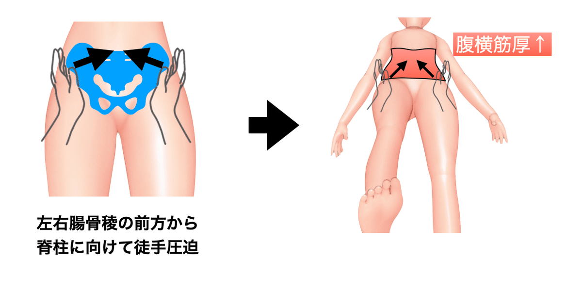 骨盤荷重伝達障害の評価とアプローチ〜ASLRとPHEの理解と臨床活用〜｜理学療法士による臨床のためのnote