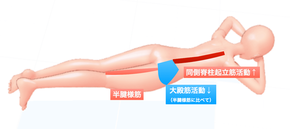 骨盤荷重伝達障害の評価とアプローチ〜ASLRとPHEの理解と臨床活用〜｜理学療法士による臨床のためのnote