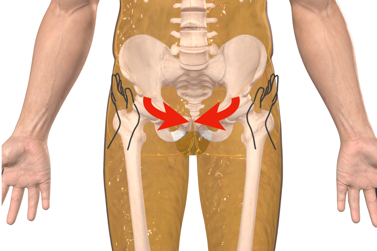 骨盤荷重伝達障害の評価とアプローチ〜ASLRとPHEの理解と臨床活用〜｜理学療法士による臨床のためのnote
