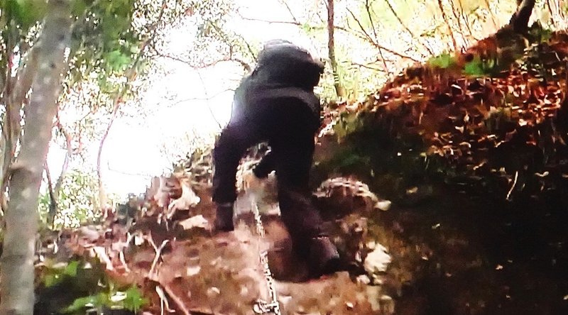 Z世代の若者～国東半島の御仏の道を行く！｜oichan｜note