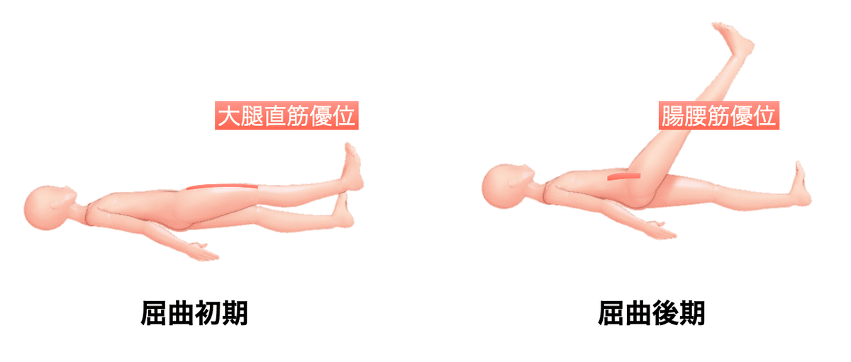 骨盤荷重伝達障害の評価とアプローチ〜ASLRとPHEの理解と臨床活用〜【サブスク】｜理学療法士による臨床のためのnote