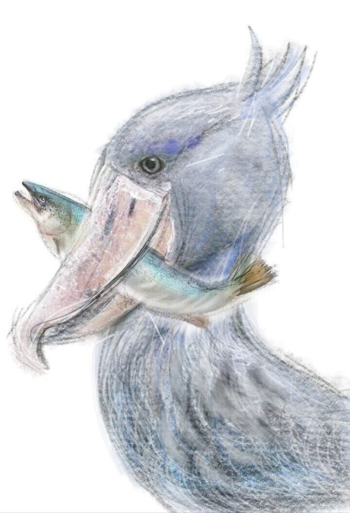 十六夜杯 賞をいただきました｜akkiy☆｜note