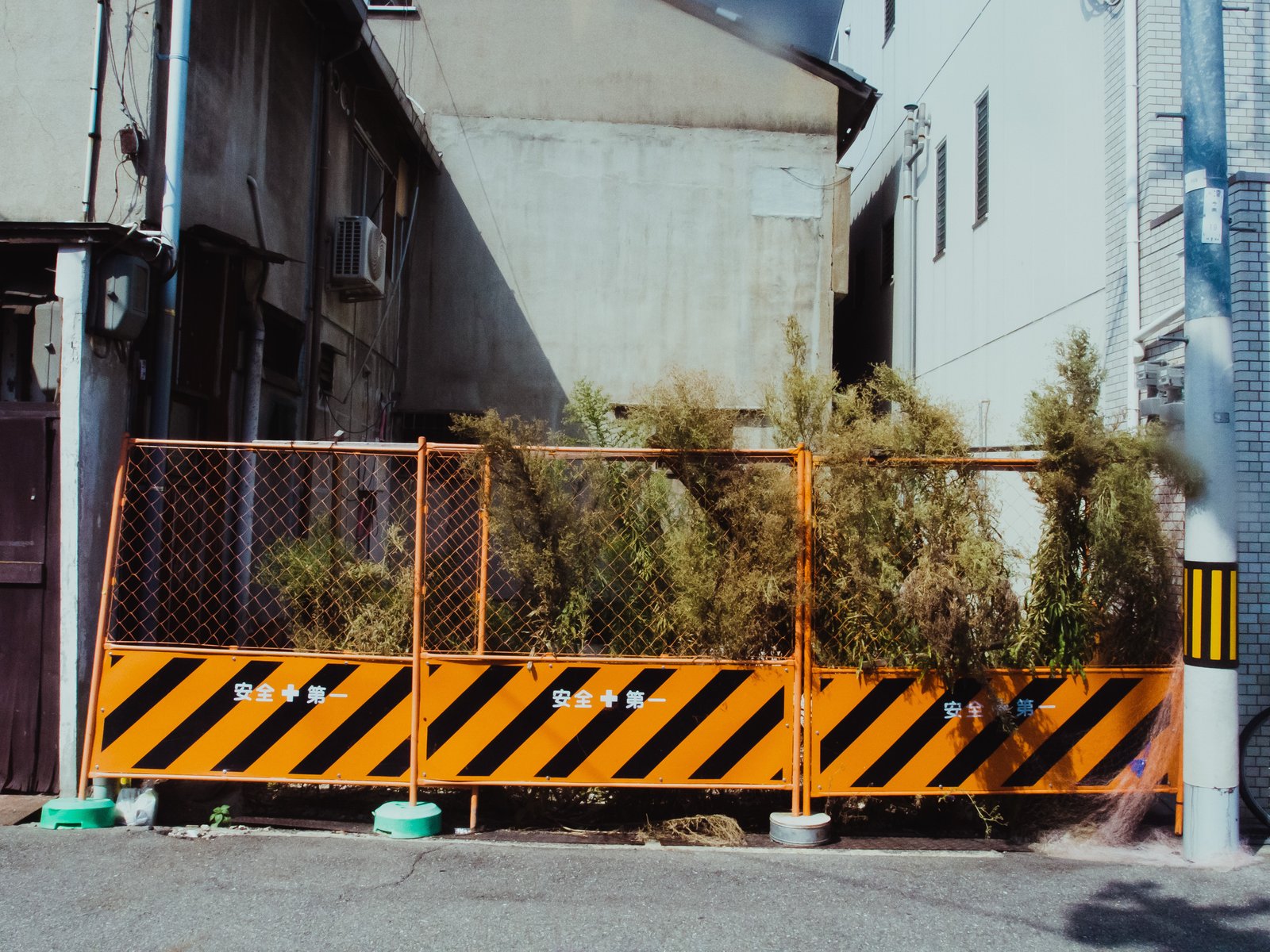 写真で呼吸する記憶｜manimanium