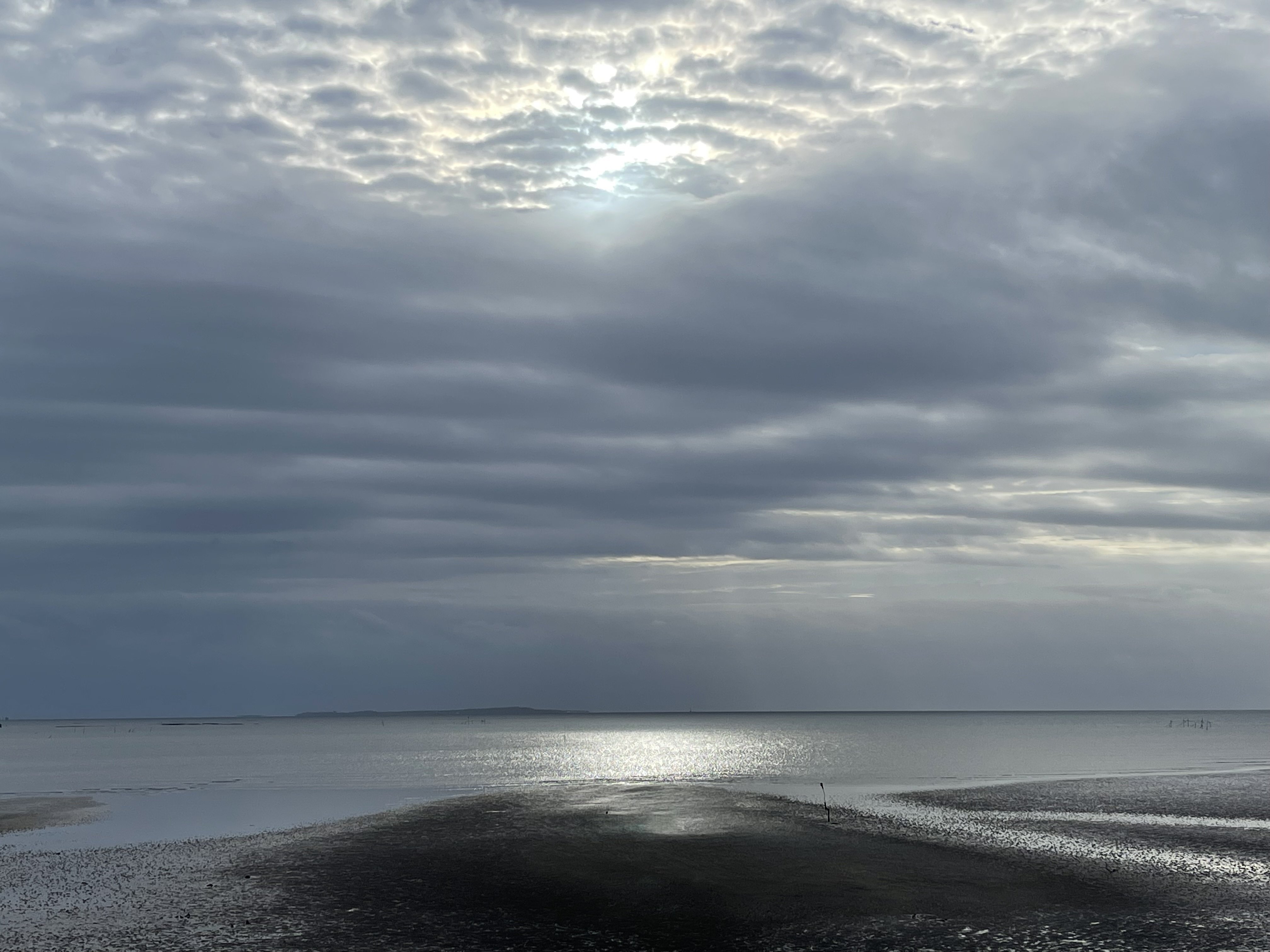 久しぶり外でのウォーキングで撮る｜38gi.ryu