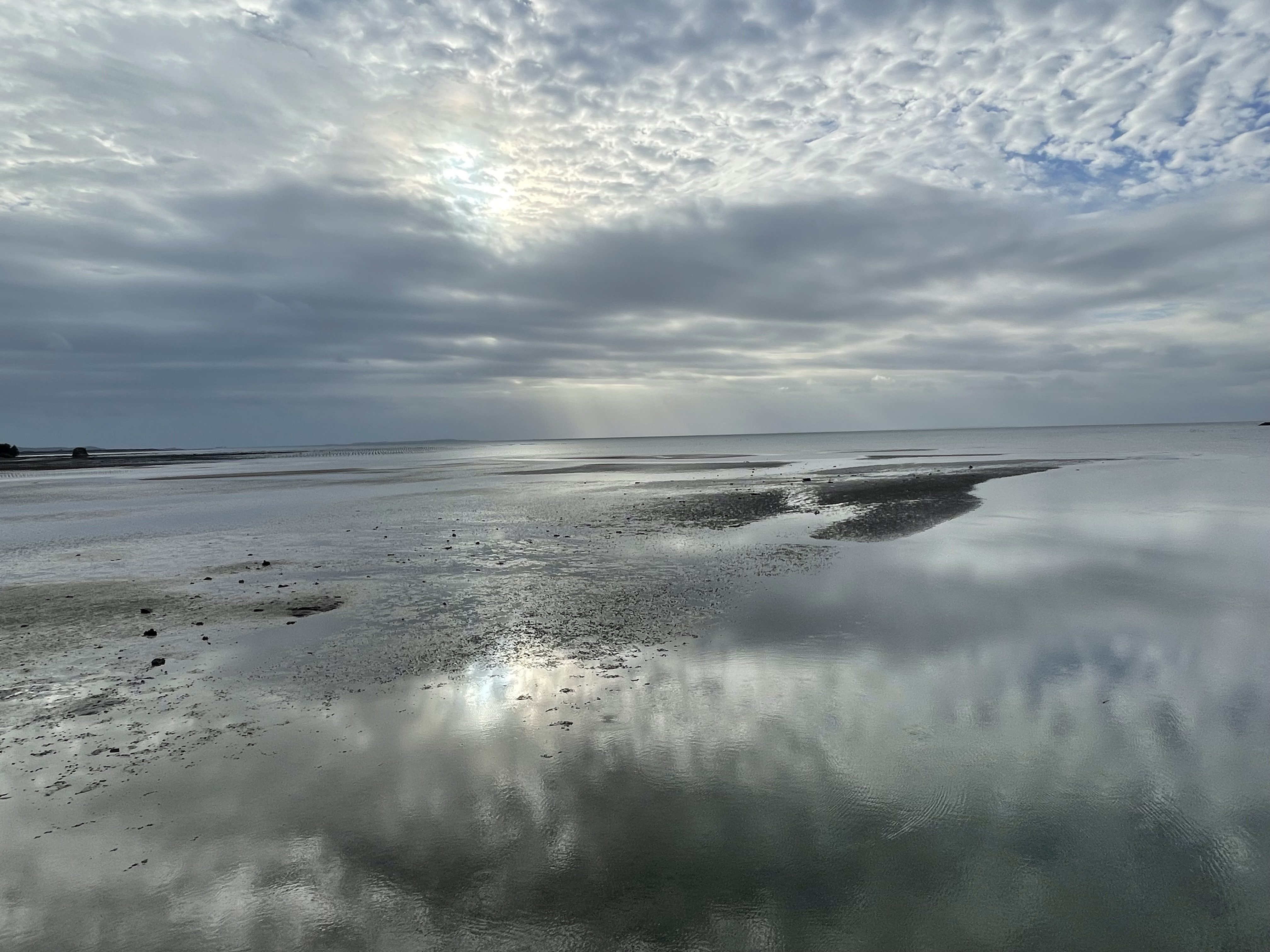 久しぶり外でのウォーキングで撮る｜38gi.ryu