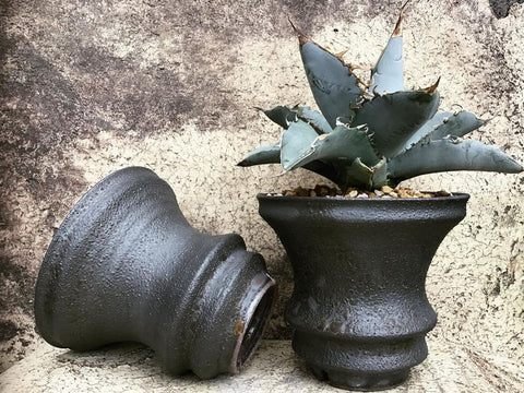 地域に根付く伝統文化を目指す『草津焼』 100年先を見据えた親子の挑戦｜KIKKAKEKKO トモ