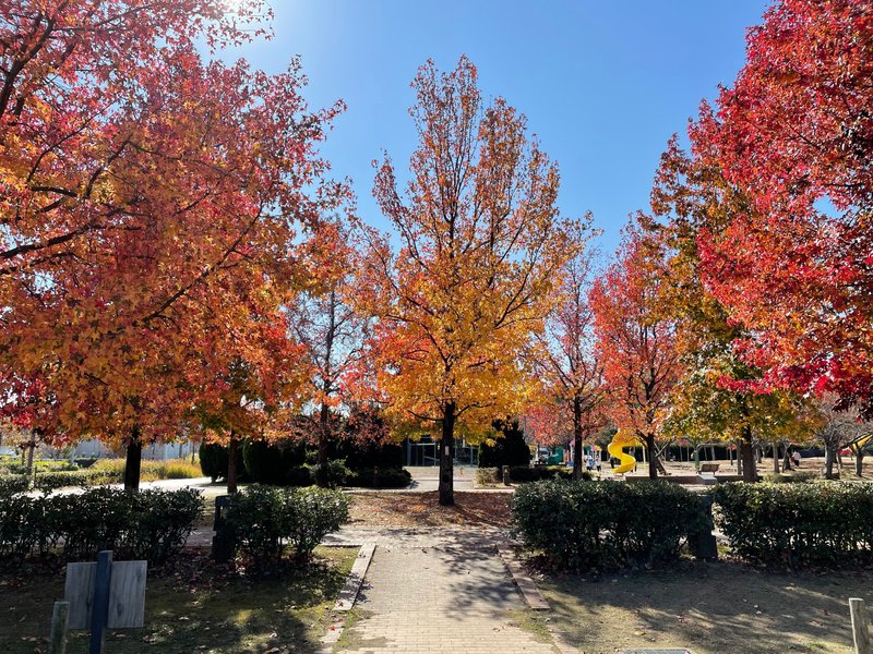 サンドイッチと｜日々のおたより｜note