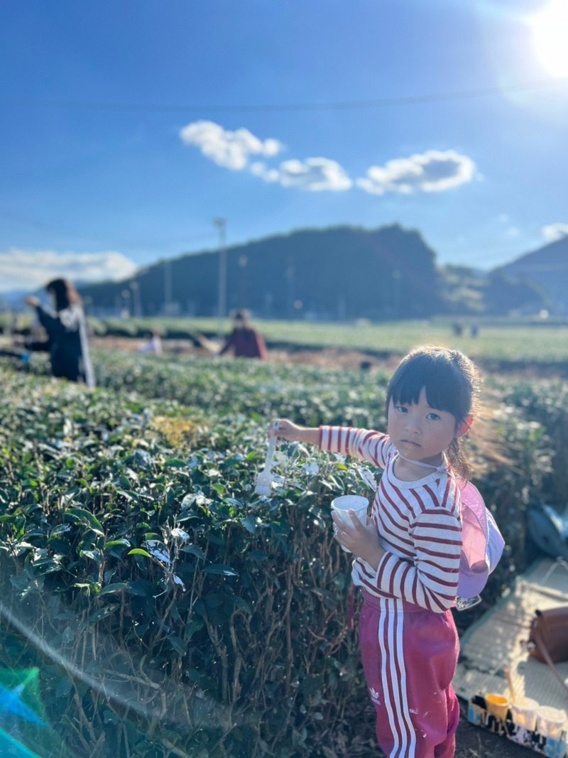 自身に見えている景色は必ず自身で変えることができる‐抜里の茶畑に花を咲かせる｜Emi Kodama