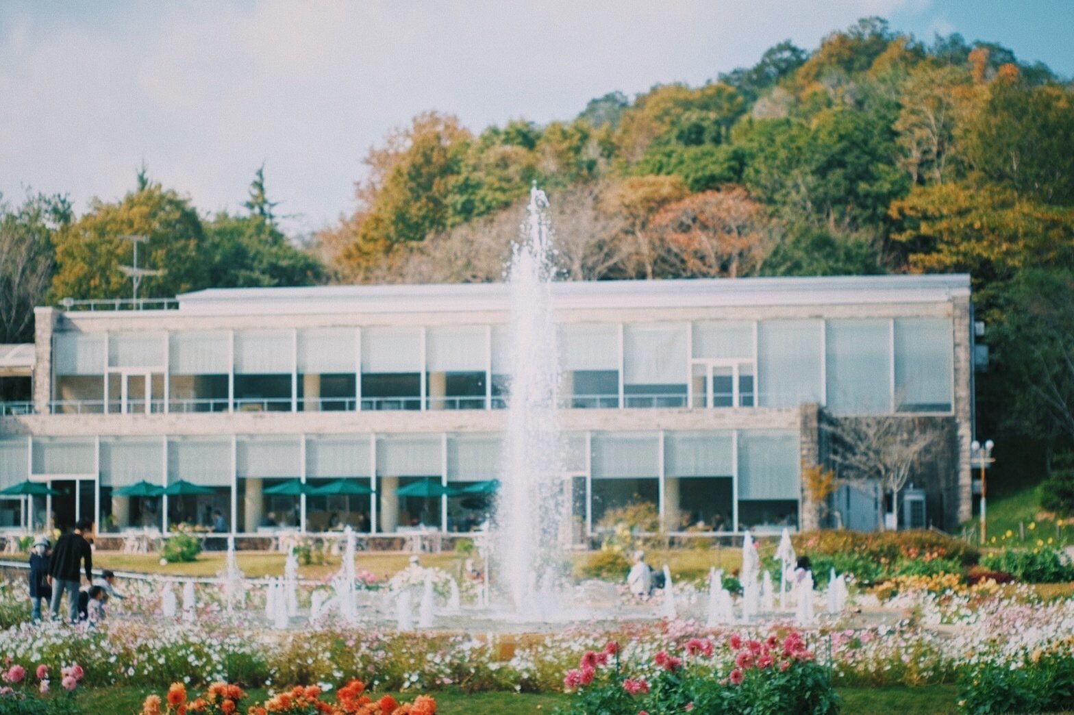 11月｜Nana Takeda_photographer