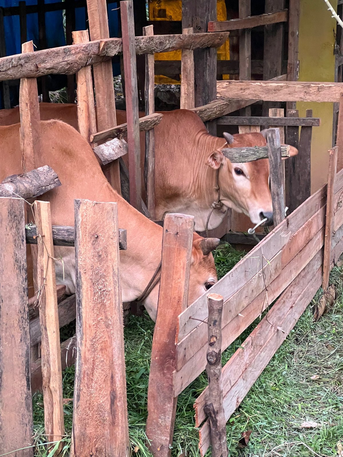 SAMURAI FARMの今後について｜SAMURAI FARM