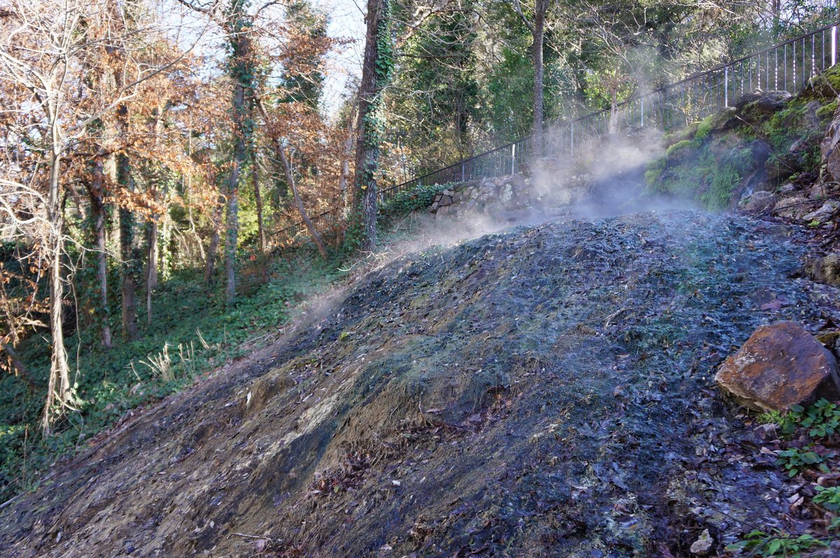 アメリカドライブ旅行-南西部横断：メンフィスで大喧嘩の後は使えない温泉街へ｜みかどん（Mikako Hoshi)