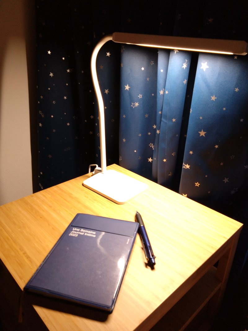 【おでかけ記録】人生初IKEAでQOLがちょっと上がる買い物をした話｜t09_hrk