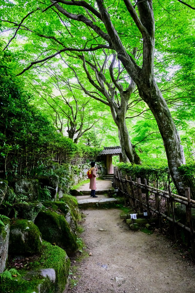 Z9使って半年がたちました。｜005 akkiy