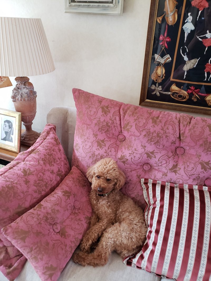 一足お先に。。🥺💘｜madamhiroko｜note