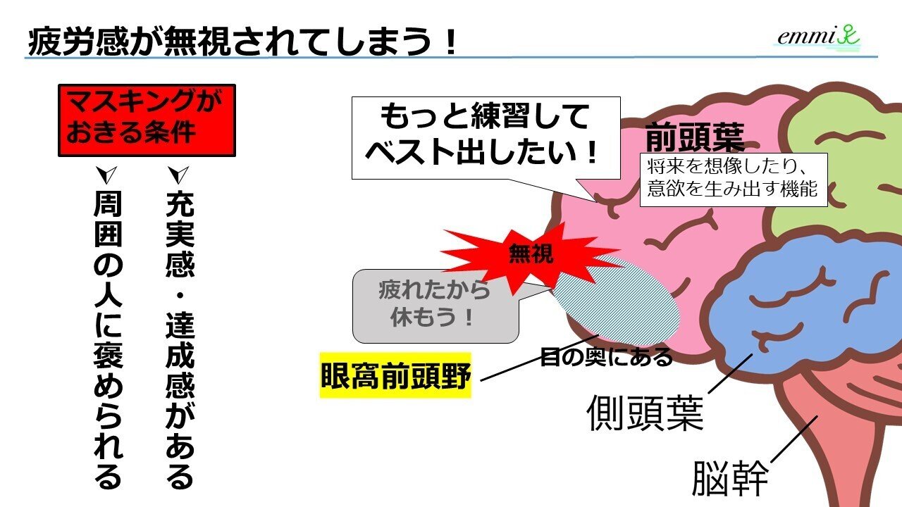 疲労のメカニズム｜Emmi Kaneko