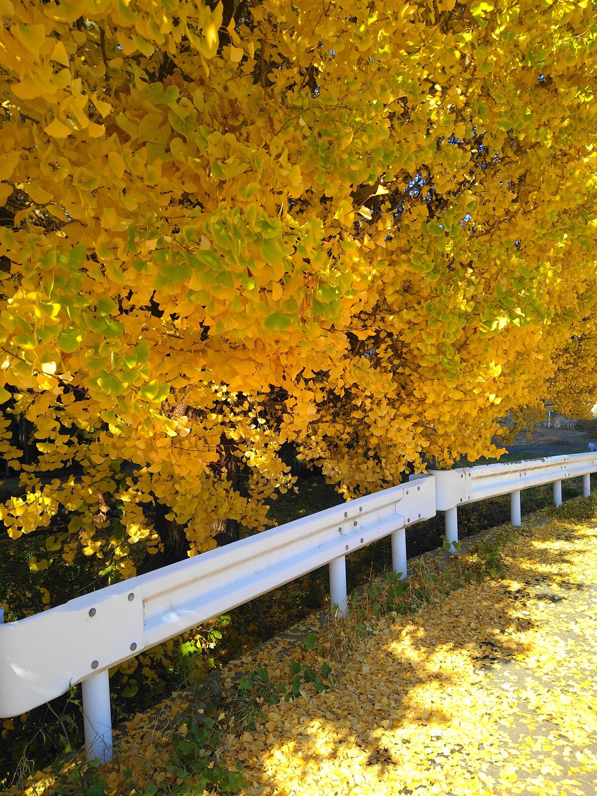 twelve-hour off every week?💀⛓💀｜マイ・ライフ★