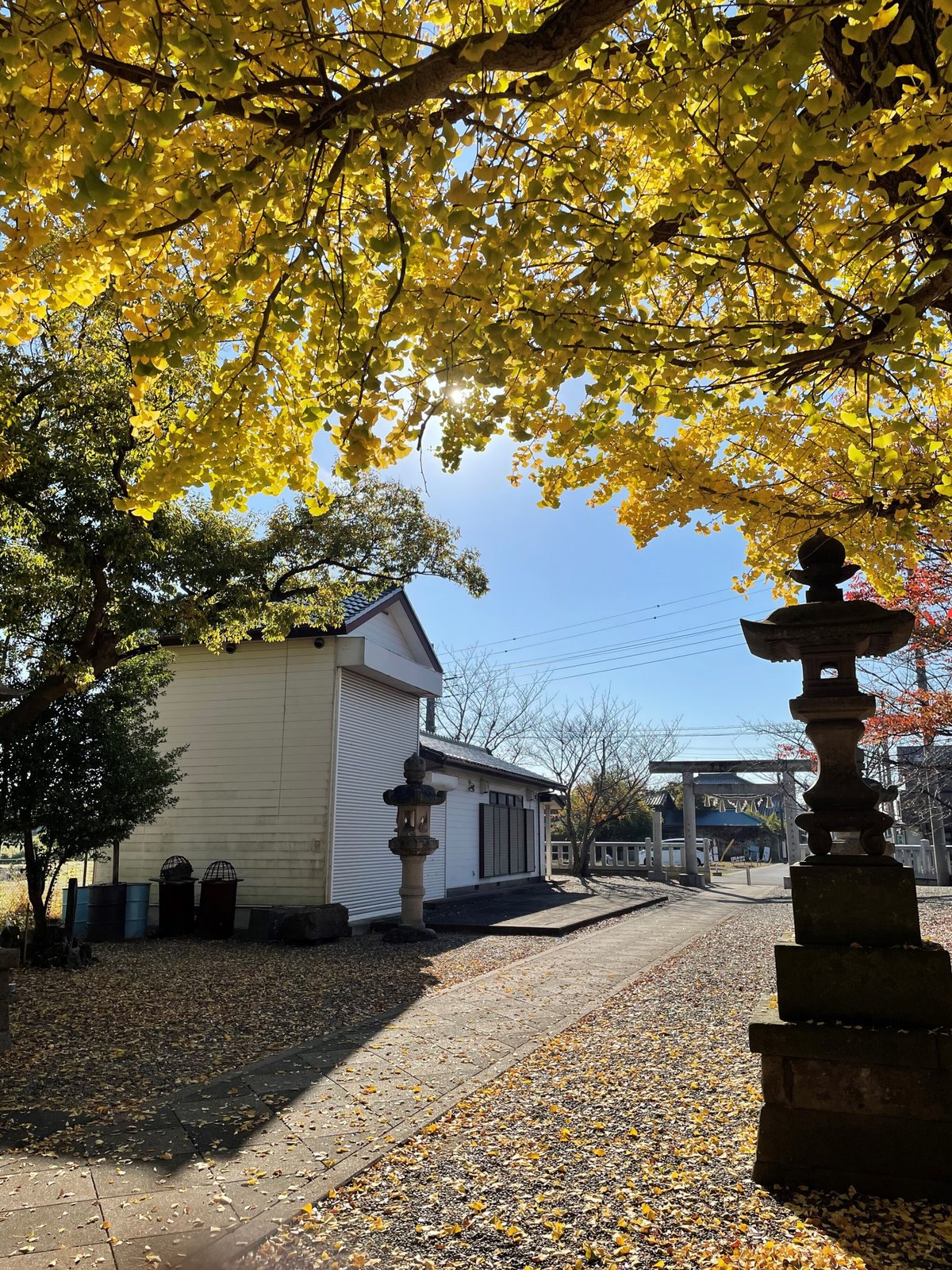番外編：ドラマ班とは関係ない番組Pの「帰らないおじさん」聖地巡礼記（木更津編）【「御社でインターンよろしいでしょうか？」スタッフnote】｜BS-TBSの公式note